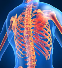 Nerve Conduction Study & EMG